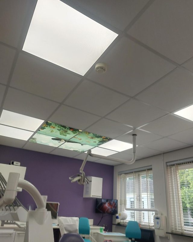 Dentled Pimpelmees backlit LED photo panels for dental clinics ...