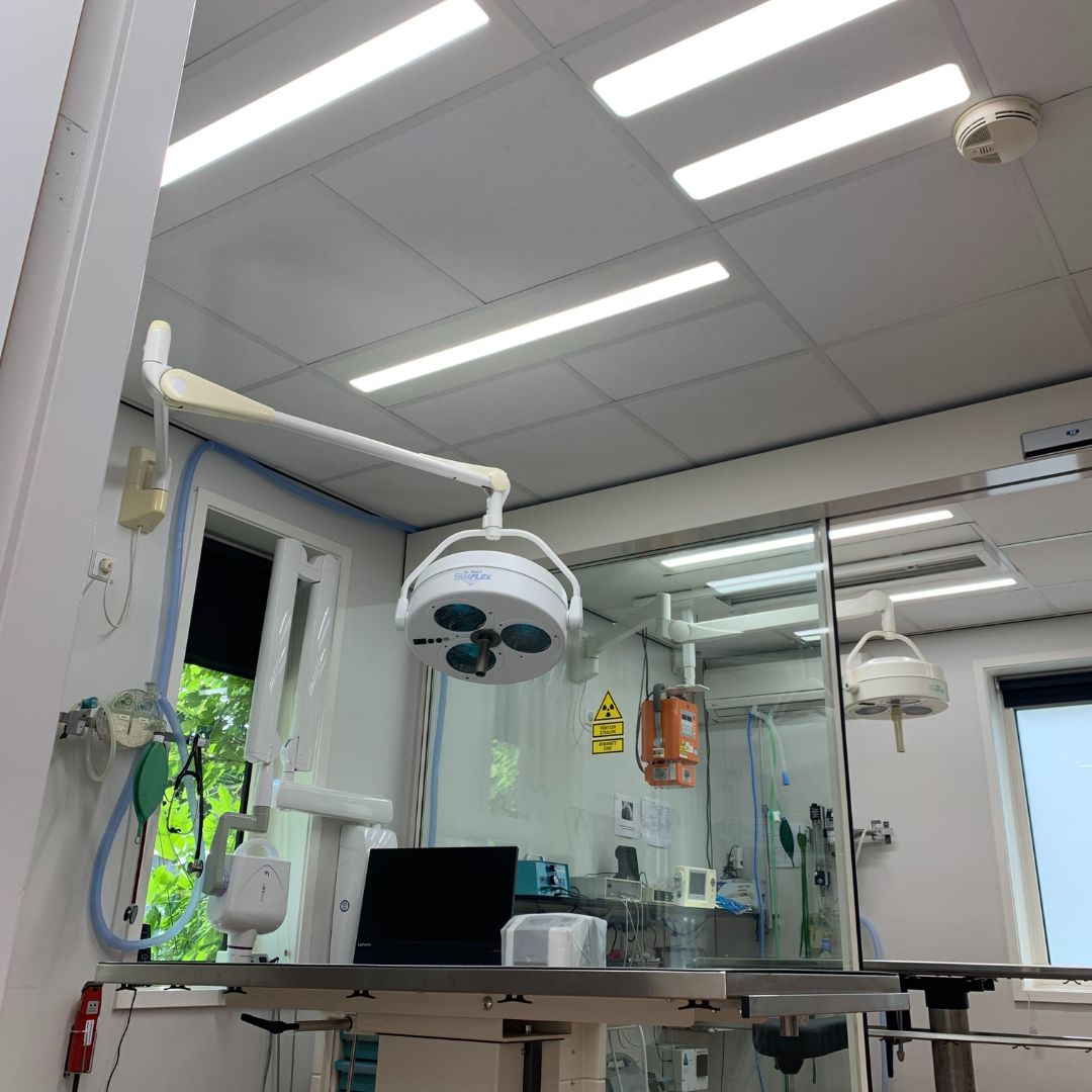 The veterinary clinic zamenhofdreef installs full spectrum daylight